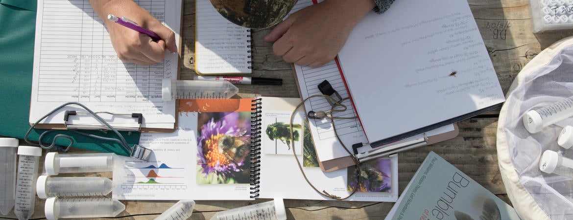 UC Riverside Entomology Department No. 2 in the World | Department of ...