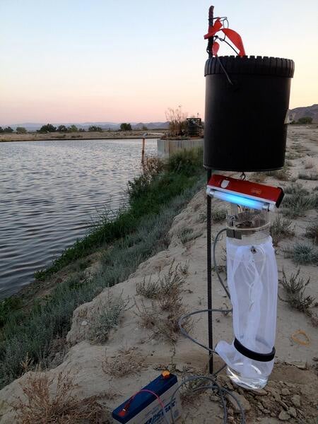 Light trap | Department of Entomology