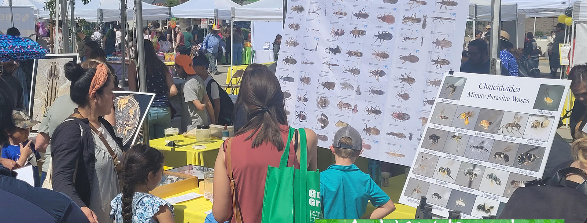 Declaration of Missing Evidence | Department of Entomology